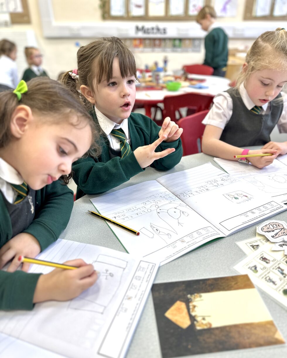 School Performance - North Town Primary School